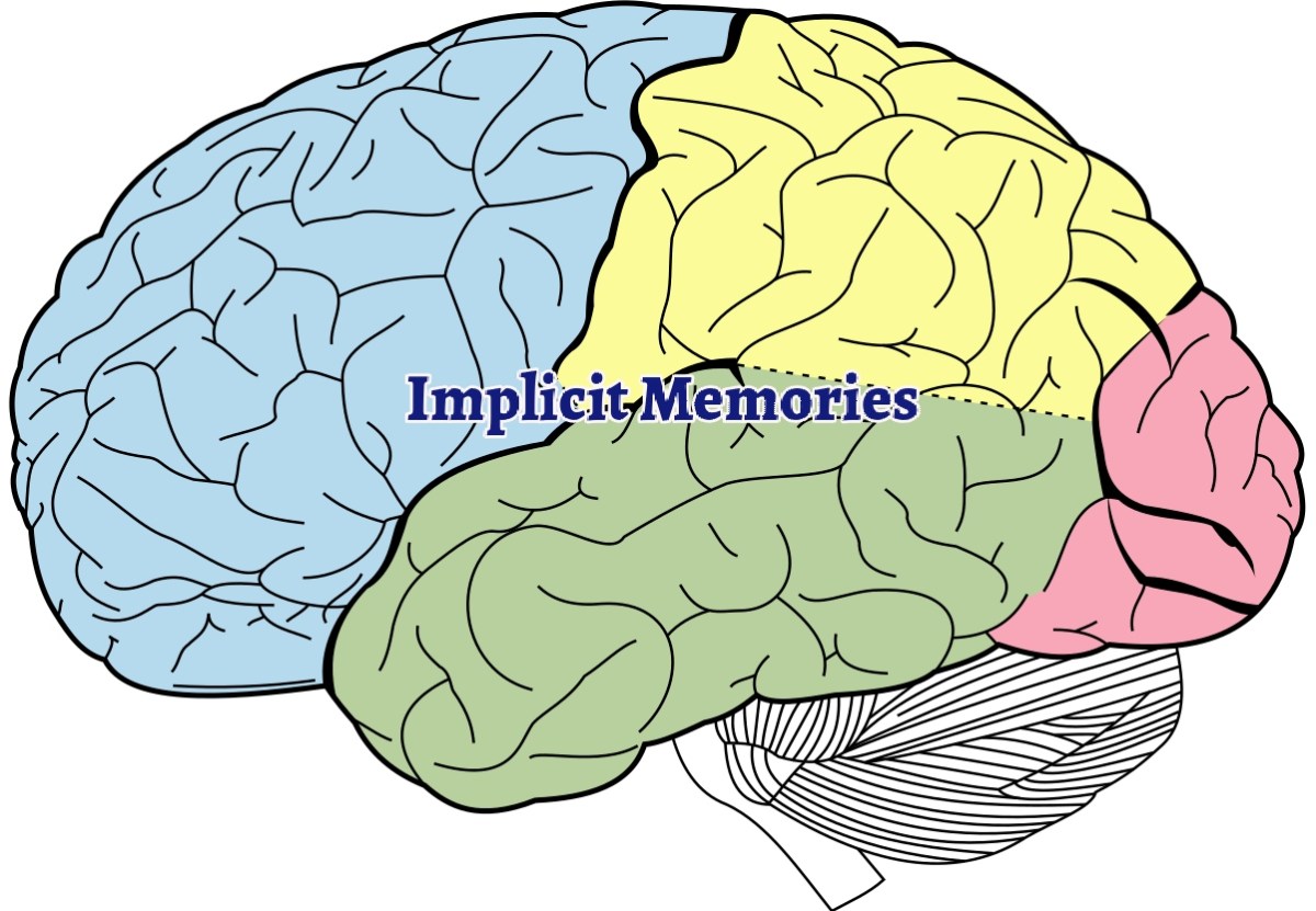 Informational Article: Implicit Memories and Memory Systems – Survivors ...
